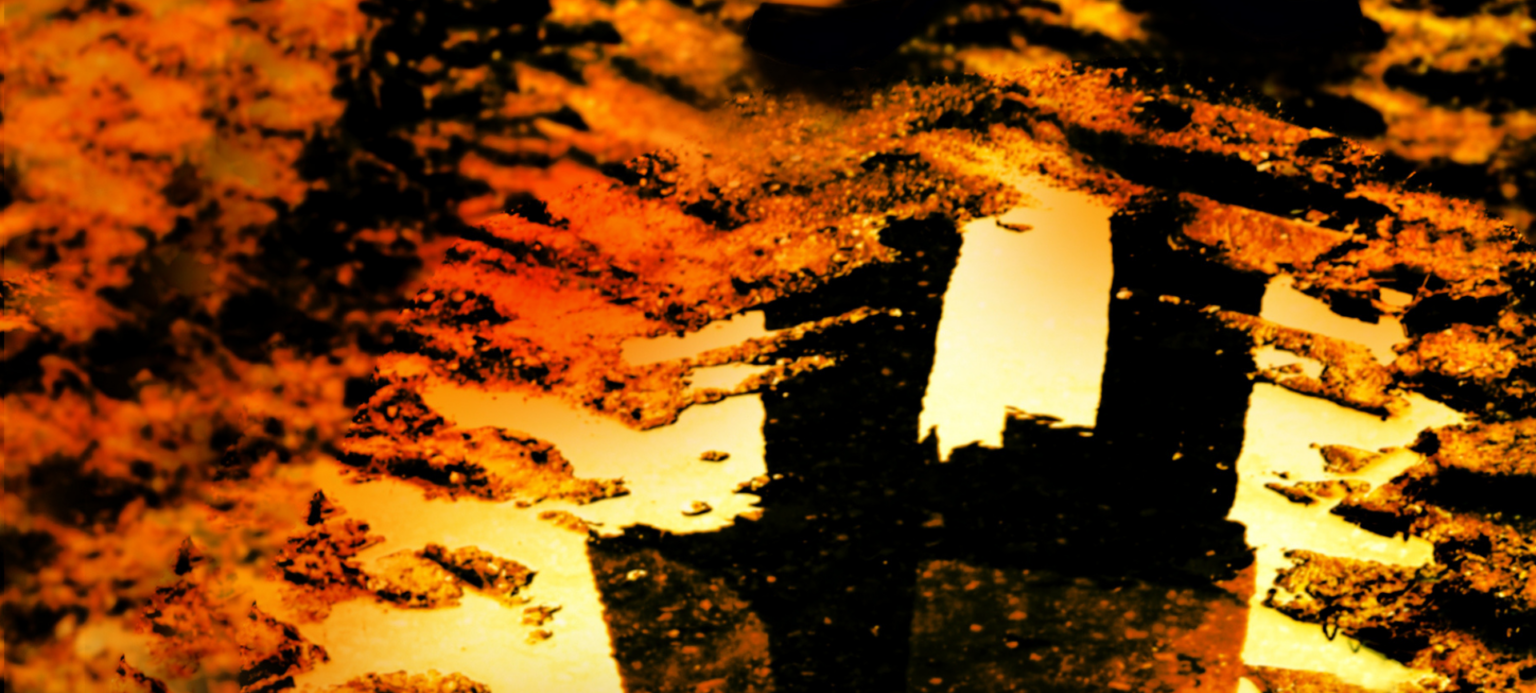 STUART MACBRIDE – The No.1 Sunday Times bestselling author